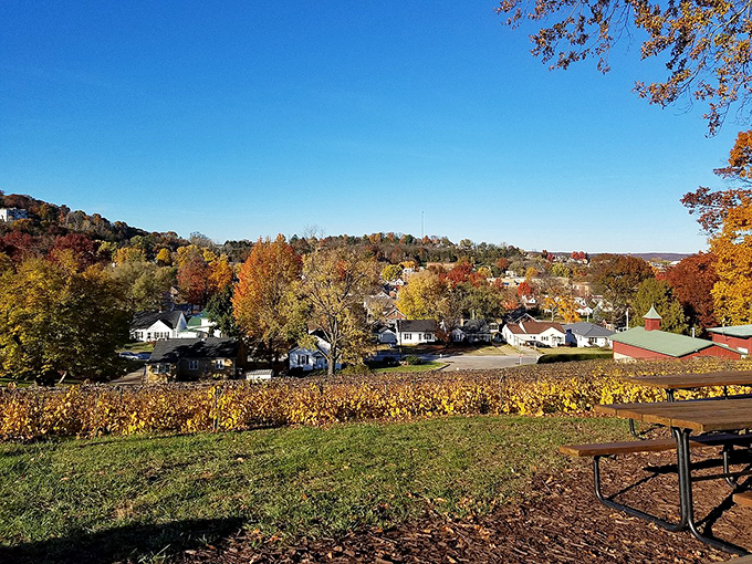 Fall foliage frames the town below, revealing Hermann's picture-perfect setting nestled among hills that have nurtured generations of winemakers.