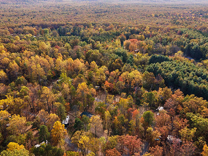 Fall foliage that doesn't require falling prices to enjoy. Danville's surrounding countryside offers scenic beauty that costs nothing but the time to appreciate it.