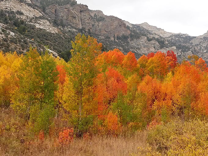 Fall paints the Ruby Mountains with a palette that would make any artist jealous &ndash; nature's free art exhibition that changes daily throughout October.