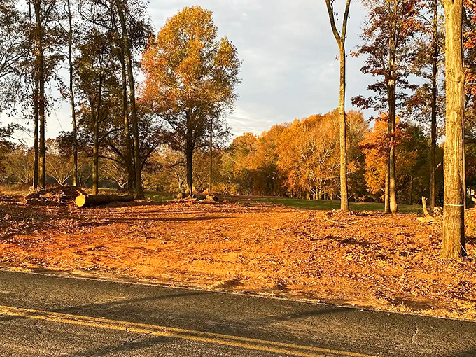 Fall foliage in Abbeville doesn't just change colors &ndash; it puts on a full theatrical production worthy of a standing ovation.