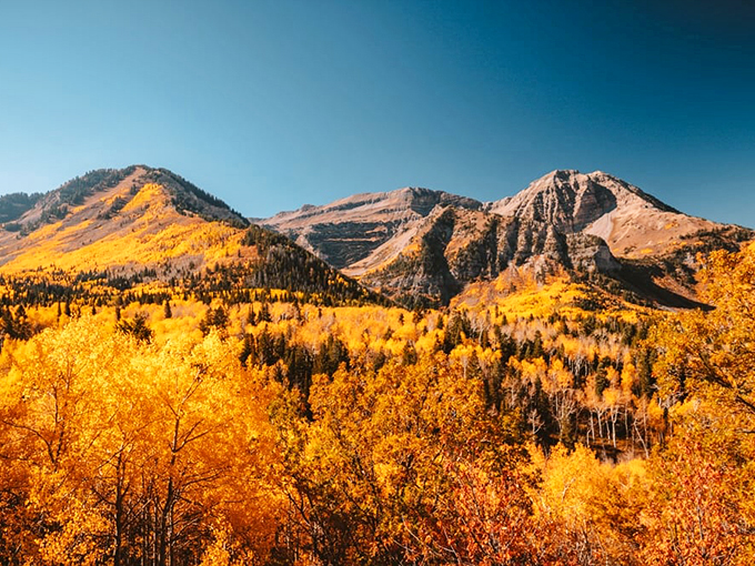 Fall in the mountains surrounding Zion&mdash;where aspens turn to gold and make you wonder if Mother Nature has been taking color theory classes.