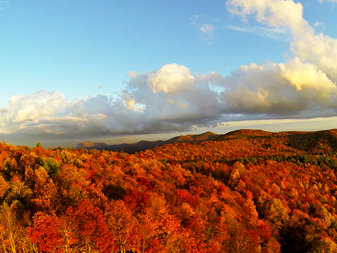 Fall foliage creates nature's fireworks display, a reminder that even in the Lowcountry, seasons change&mdash;just with Southern deliberation.
