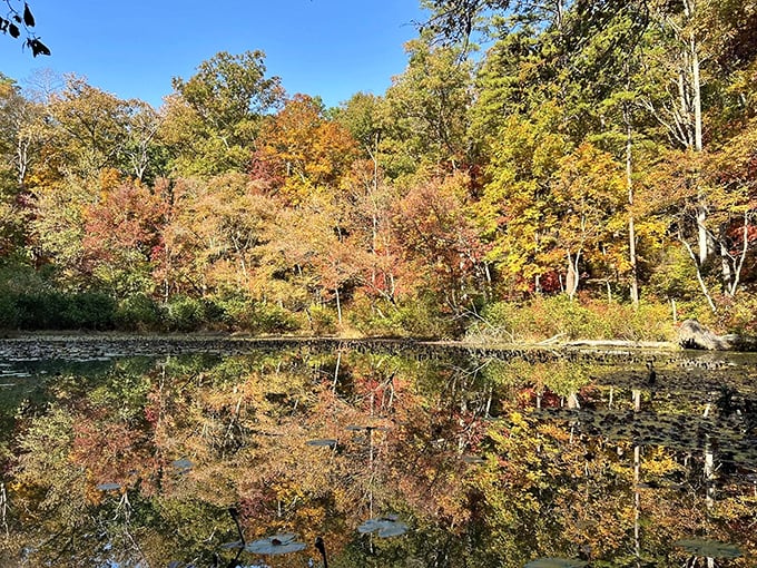 Fall's palette reflected perfectly&mdash;proof that Mississippi can do autumn colors with as much flair as any New England postcard.