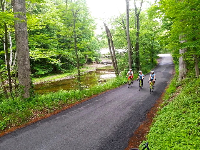 The Delaware Canal towpath doesn't just offer a bike ride&mdash;it delivers a journey through tunnel-like greenery alongside peaceful waters.