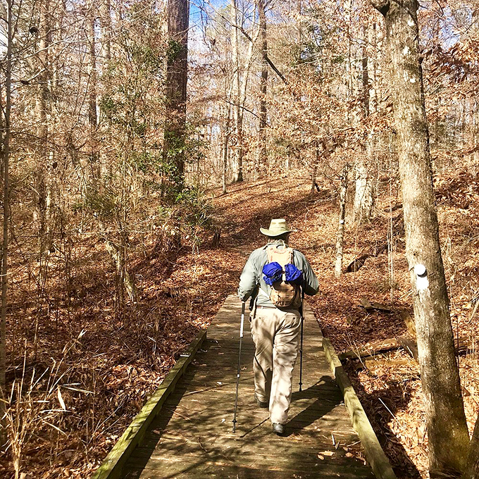 Boardwalks transform muddy trails into accessible adventures, proving that sometimes the best way to preserve nature is to build a small path through it.