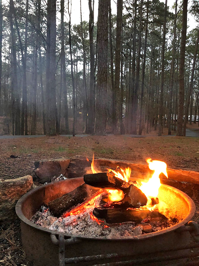 The campfire: humanity's original entertainment center where marshmallows meet their delicious doom and ghost stories find their perfect stage.