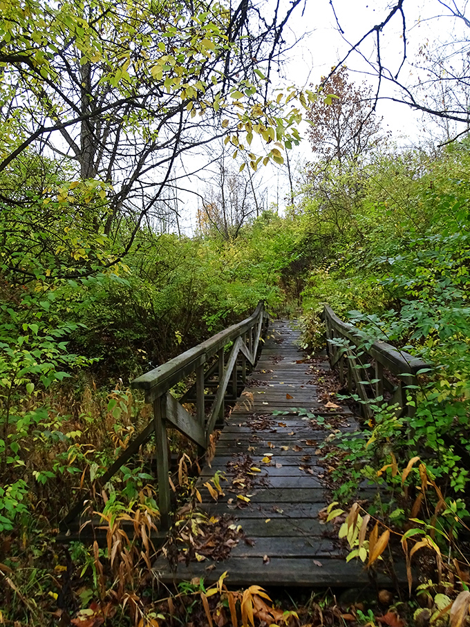 This weathered wooden bridge has witnessed countless seasons of change. Silent storyteller connecting not just banks, but generations of visitors.