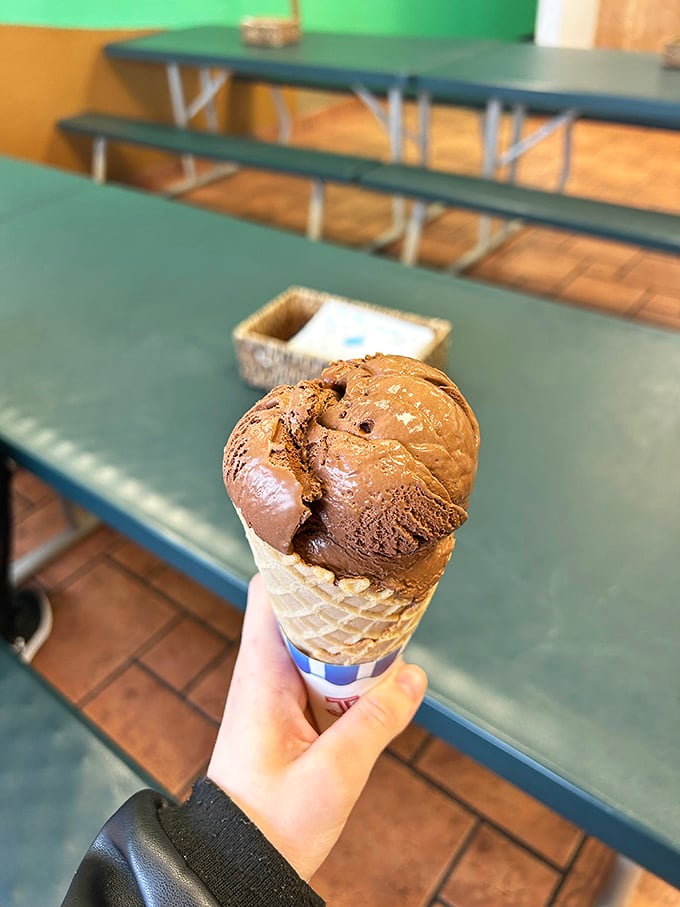 Chocolate so rich it should have its own tax bracket. This scoop isn't playing games&mdash;it's serious about delivering maximum cocoa satisfaction.