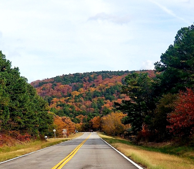 The heavens and earth meet in perfect harmony. This stretch of road delivers the kind of blue skies that city dwellers dream about.