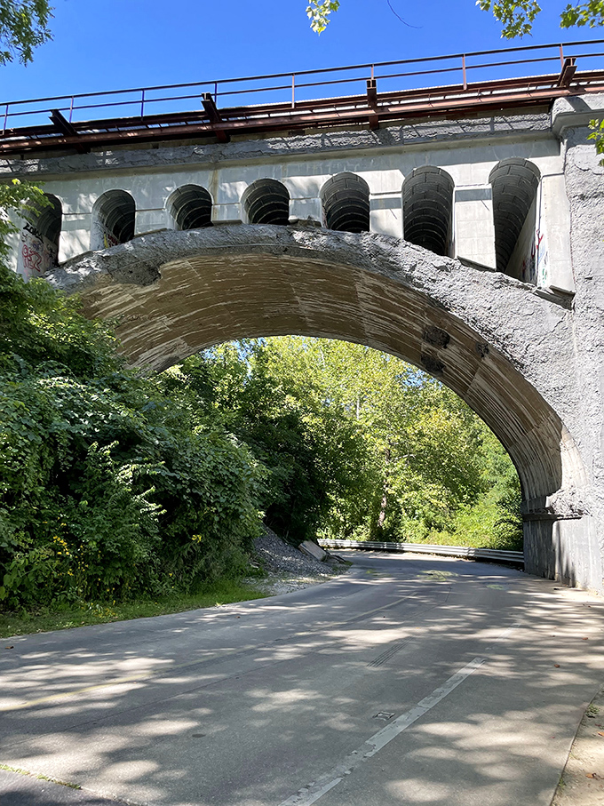 The road passing beneath creates a perfect frame for appreciating the bridge's scale. Drivers report strange electrical malfunctions when passing through at night.