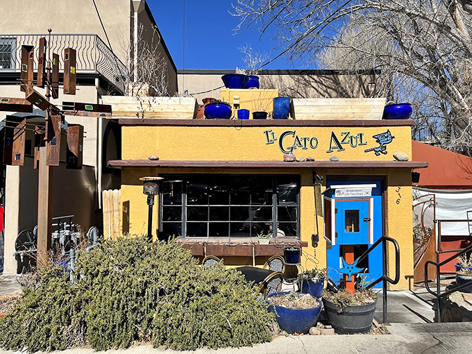 El Gato Azul's cheerful yellow facade promises Mediterranean flavors with southwestern flair. Those blue pots aren't just decorative&mdash;they're a mood.