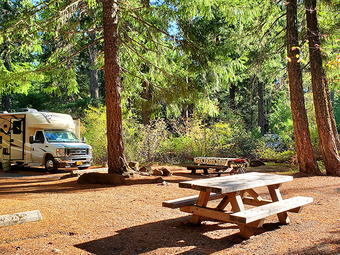 Farewell Bend Campground: where "roughing it" means choosing between s'mores or stargazing as your evening entertainment.