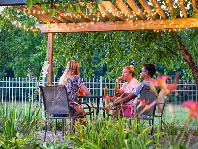 String lights transform ordinary evenings into memory-making moments. This pergola practically guarantees conversations that last until the fireflies appear.