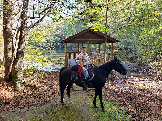 Horseback riding through autumn leaves &ndash; when "horsepower" takes on its original meaning and pace slows to nature's intended speed.