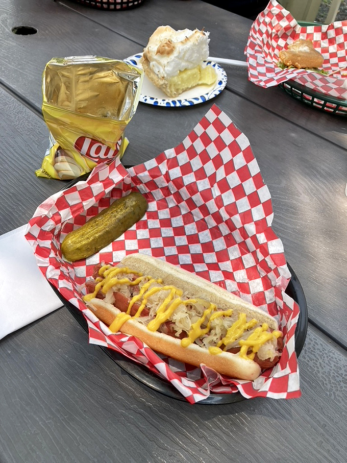 Now that&rsquo;s a dog with a r&eacute;sum&eacute;. Tangy kraut, zippy mustard, and a dill pickle that means business. No filter needed.