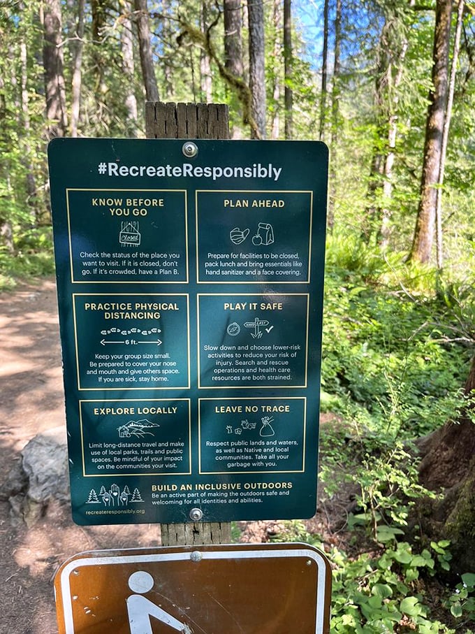The forest's terms and conditions&mdash;a gentle reminder that we're guests in this magnificent natural cathedral, not the owners.