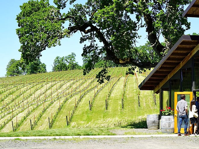 J.L. Kiff Vineyard's rustic tasting porch invites lingering with vineyard views. Wine always tastes better with your feet up and worries down. 