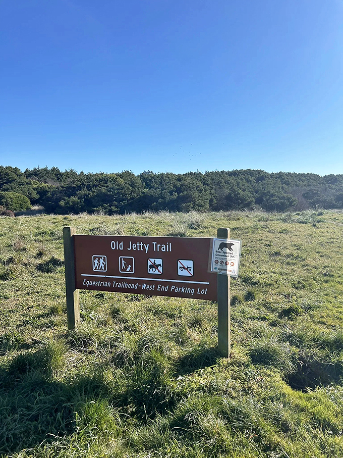 The Old Jetty Trail sign doesn't just mark a path&mdash;it promises adventures for hikers, equestrians, and four-legged friends alike. 