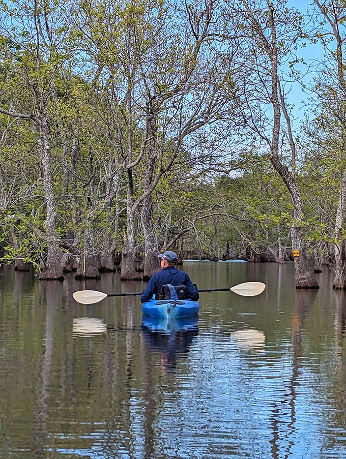 Paddling through cypress stands feels like time travel to prehistoric Louisiana—minus the dinosaurs, thankfully.