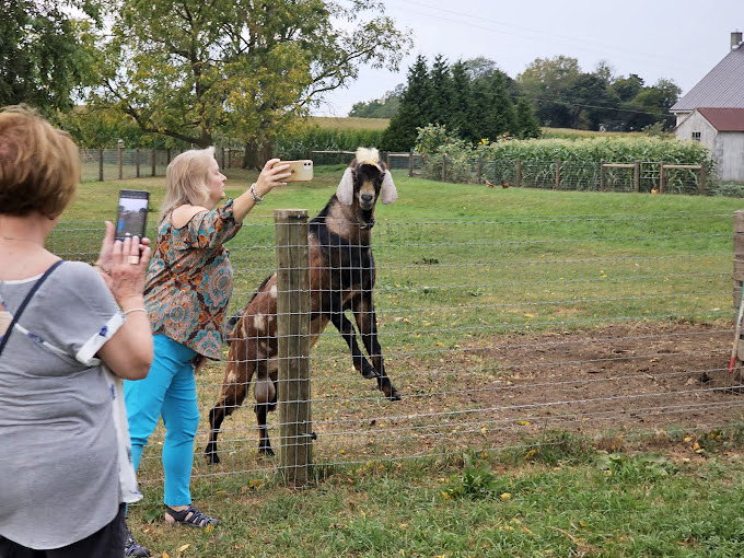 Rumspringa Brewing Company proves that even in traditional Amish country, there's room for craft beverages that'll make your taste buds dance. 