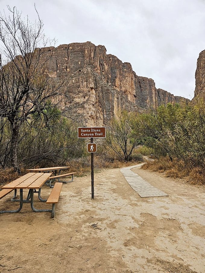 The trailhead picnic tables: where hikers gather to fuel up before ascending or celebrate surviving those switchbacks on the return.