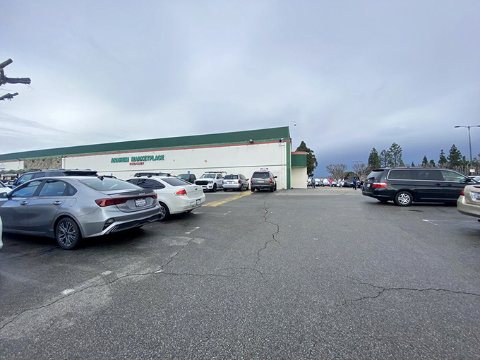 The parking lot fills with vehicles from across Southern California. Each car represents a family seeking authentic experiences beyond tourist attractions.