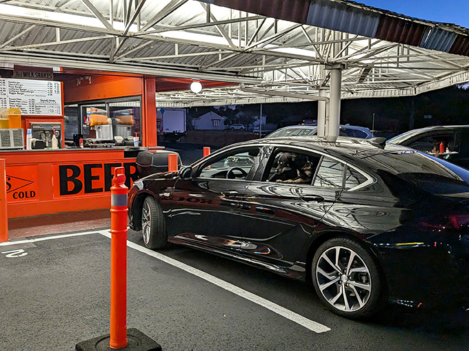 As evening falls, the drive-in transforms. Cars gather under the striped canopy like modern-day covered wagons, united in pursuit of root beer and respite.