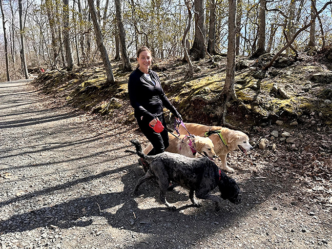 Four-legged hikers bringing their humans for fresh air therapy &ndash; prescription: one trail, take twice daily for maximum happiness.