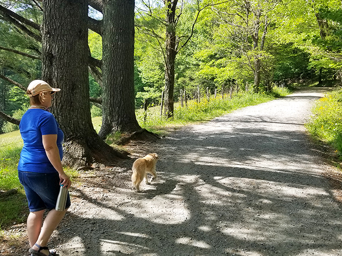 Four-legged hikers welcome! This trail proves you don't need opposable thumbs to appreciate natural beauty.