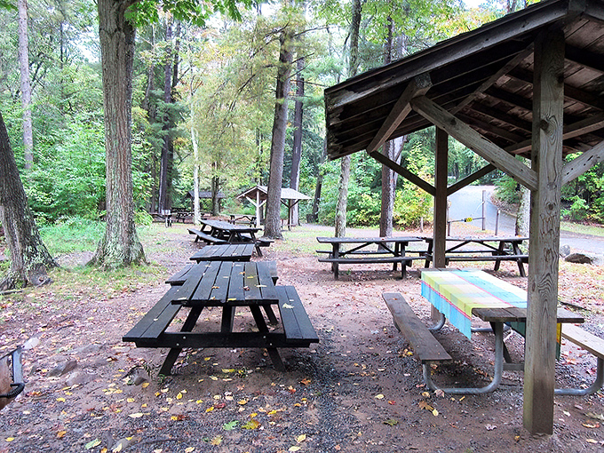 Rustic picnic tables await your sandwiches and stories. These wooden gathering spots have hosted generations of family memories and slightly exaggerated fishing tales. 