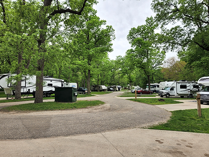 Camping among the walnut trees: where luxury meets wilderness. These RV spots offer all the comforts of home with nature as your living room.