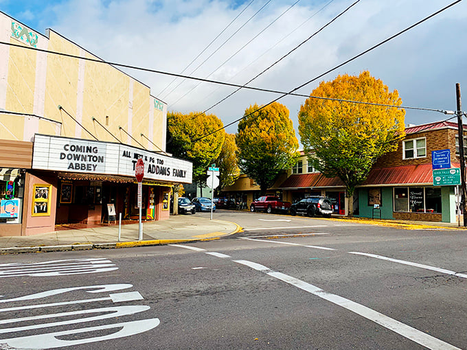 A young deer pauses mid-snack, offering that rare wildlife encounter where both parties are equally surprised yet perfectly composed for the photo. 
