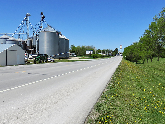 Rural roads stretch toward possibility, flanked by spring's first dandelions. In Harmony, even the "weeds" contribute to the landscape's charm.