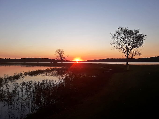 The sun bids farewell in spectacular fashion, painting the sky in shades no artist could mix. Nature's nightly masterpiece.