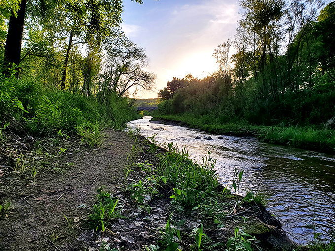 As the sun sets over the Des Moines River, the water transforms into liquid gold. Nature's happy hour doesn't require reservations.
