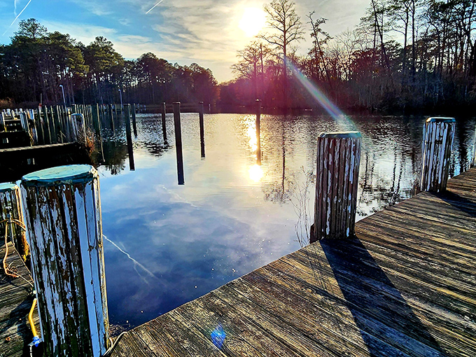 Winter transforms familiar trails into crystalline wonderlands where every branch becomes nature's attempt at diamond jewelry design.