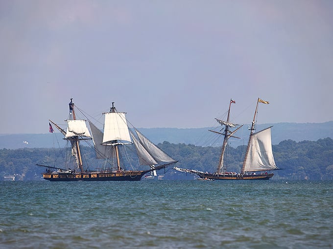 Tall ships glide across Lake Erie's horizon like time travelers from another century, a floating history lesson more captivating than any textbook.
