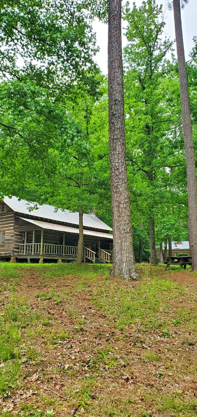 Towering pines frame the historic cabin like nature's own picture frame&mdash;rustic elegance that predates the concept of "rustic chic."
