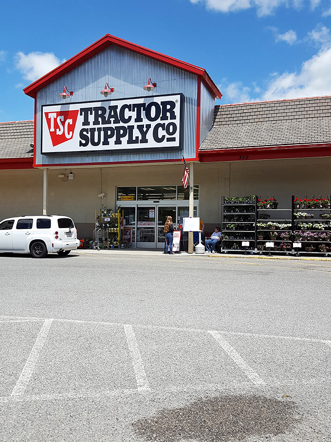 Tractor Supply&mdash;where weekend warriors and genuine farmers alike find common ground over garden hoses and chicken feed discussions.