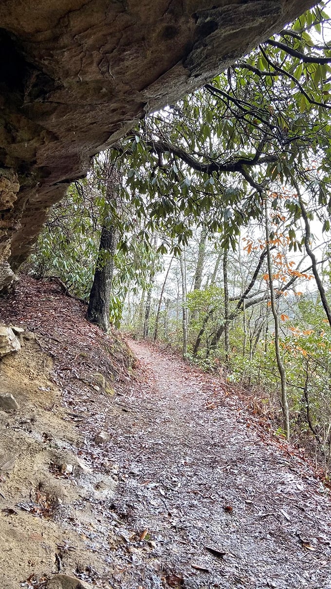 The path beneath overhanging rock offers cool respite on summer days. Ancient stone above, adventure ahead &ndash; this is Kentucky's version of a natural cathedral.