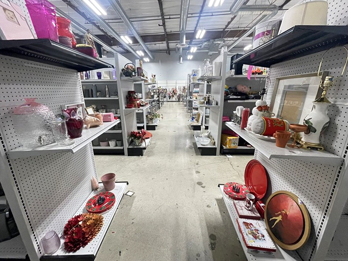 Aisle after aisle of organized potential. The thrill of the hunt comes with unexpected discoveries around every corner.