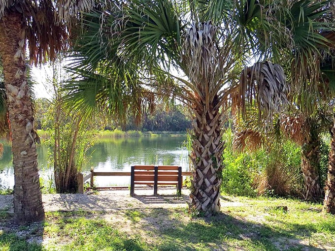 Between two sentinel palms sits a bench offering front-row seats to nature's greatest show&mdash;no tickets required, standing ovations welcome.