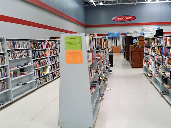 The book section: where paperback romances and hardcover classics create a library without late fees, each spine a doorway to adventure.