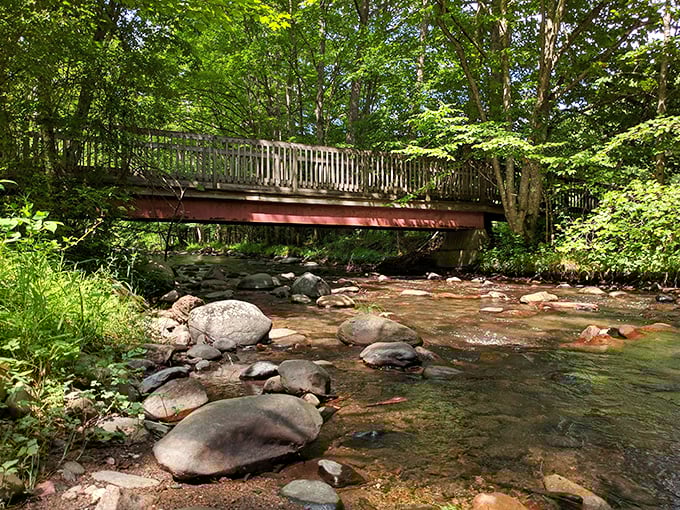 This bridge doesn't just cross the stream—it connects you to the rhythm of mountain water that's been composing the same song for millennia.