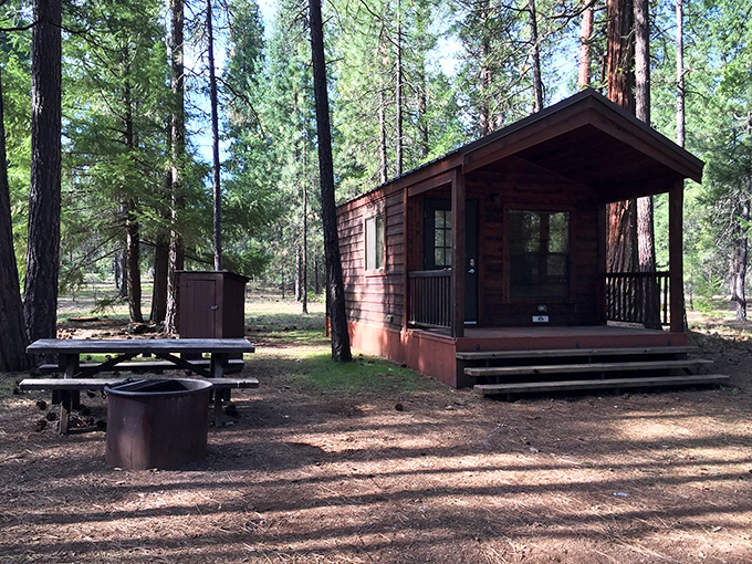 Rustic cabins nestled among towering pines&mdash;where you can fall asleep to nature's white noise machine.