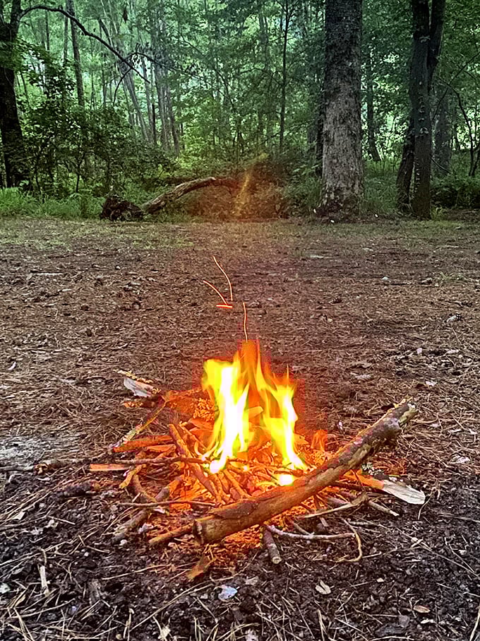 Standing tall in bronze tribute, this CCC worker statue honors the young men who transformed Tishomingo from rugged wilderness into accessible natural treasure. 