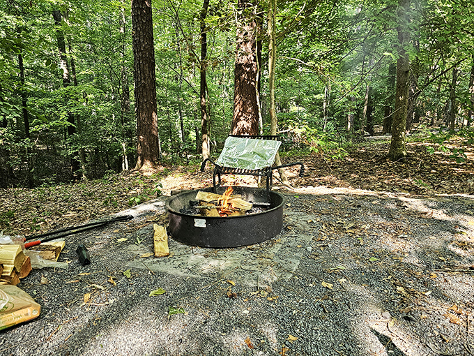 The hypnotic dance of campfire flames&mdash;nature's original Netflix that's been entertaining humans since before electricity was cool.