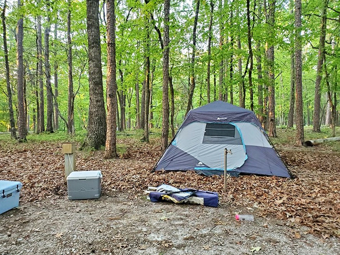 Camping at Oconee: where "no vacancy" means a tent, a cooler, and conversations that don't involve asking about the Wi-Fi password.