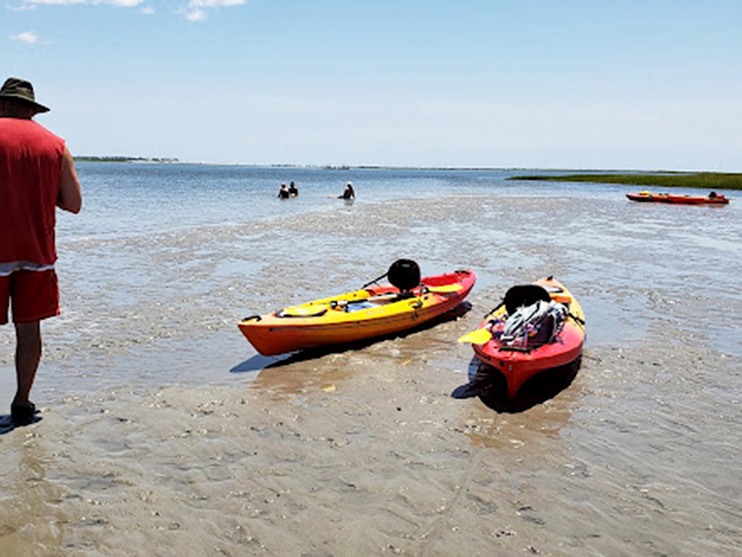 Kayaking the marshlands &ndash; where paddling slowly isn't just recommended, it's practically required for spotting wildlife and absorbing tranquility.