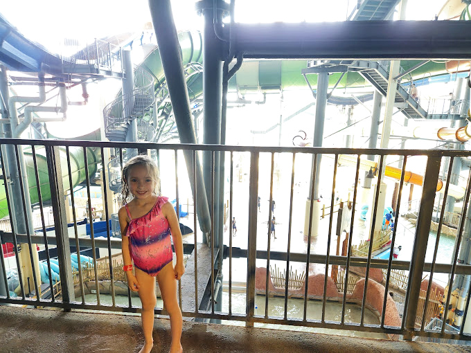 Multi-story slides offer the perfect risk-to-reward ratio: moments of thrilling descent followed by a gentle water landing.